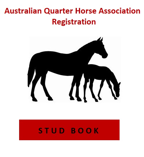 Registry Services - AQHA